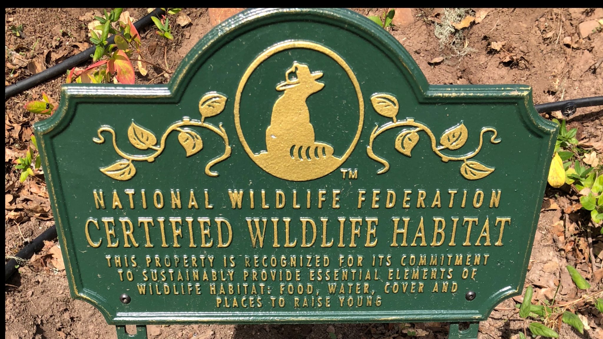 Adorable Children’s Books – Running Rabbit Ranch & Vineyard